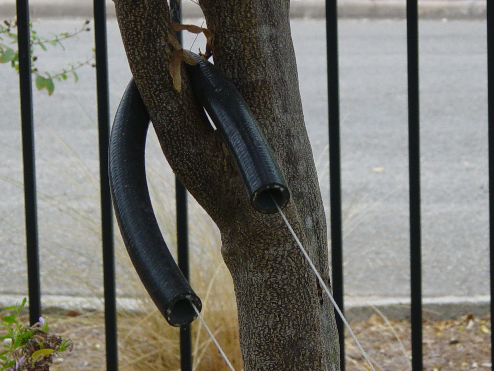 Garden Ally: Let a Hose Lend You a Hand