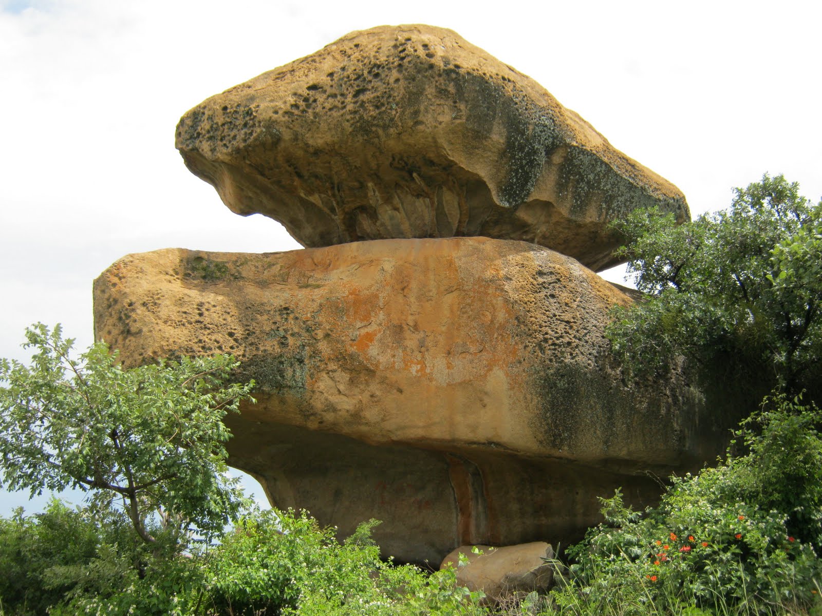 Онзи, който обича морето... и не само: Топ 9 на най-невероятните ...