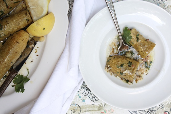 Stuffed Cousa in Lemon Herb Sauce | Fresh Levant Bistro