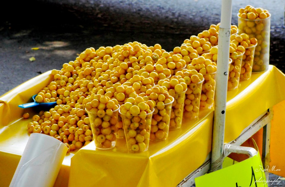 Jaime Ramos Méndez: Los nanches - Fotografía de Israel Rodríguez Méndez
