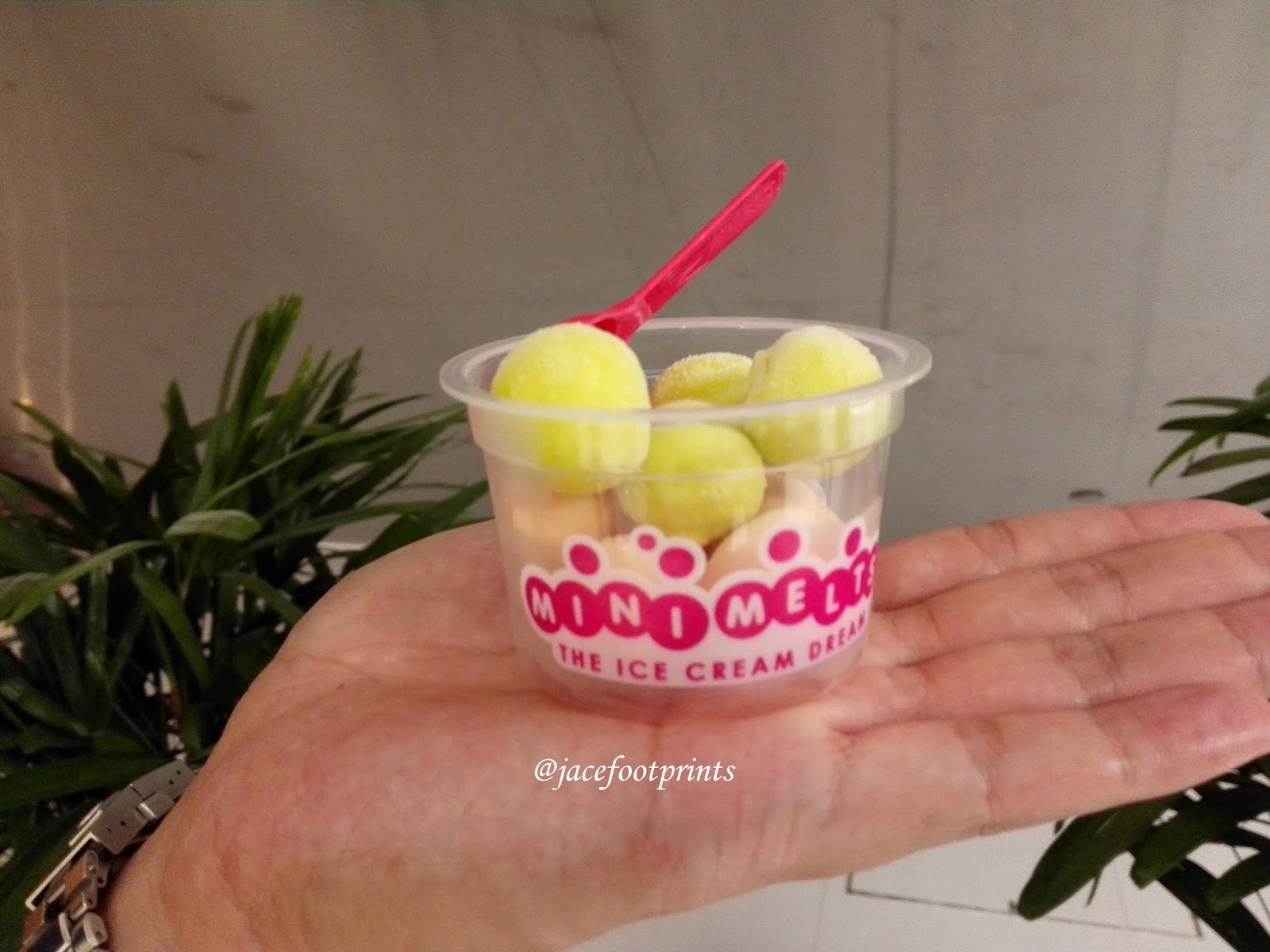 [Singapore] Mini Melts - Ice Cream Dream - Just Another Delicious ...