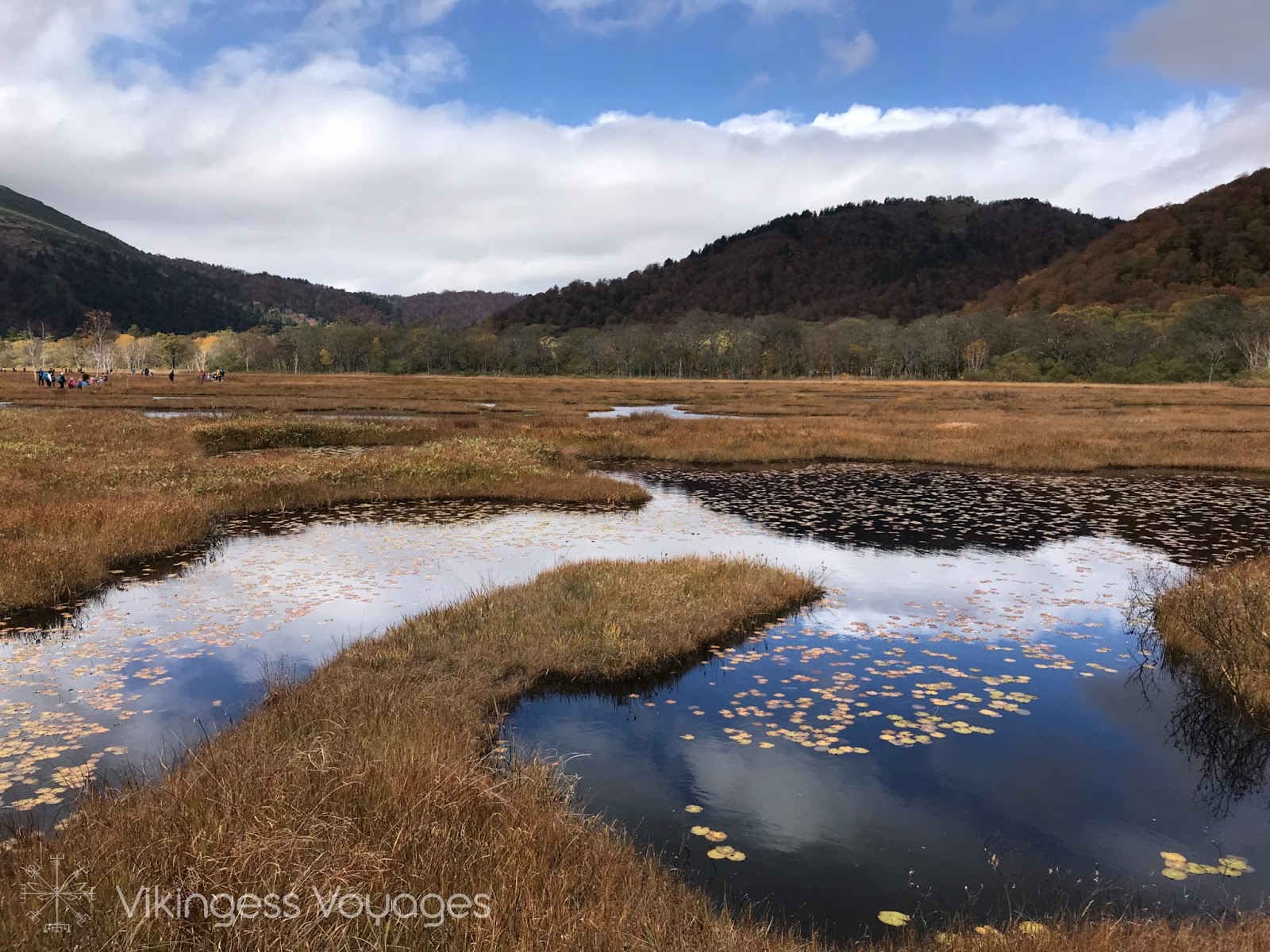 Gunma: How to enjoy the Autumn Foliage at Oze National Park - Vikingess ...