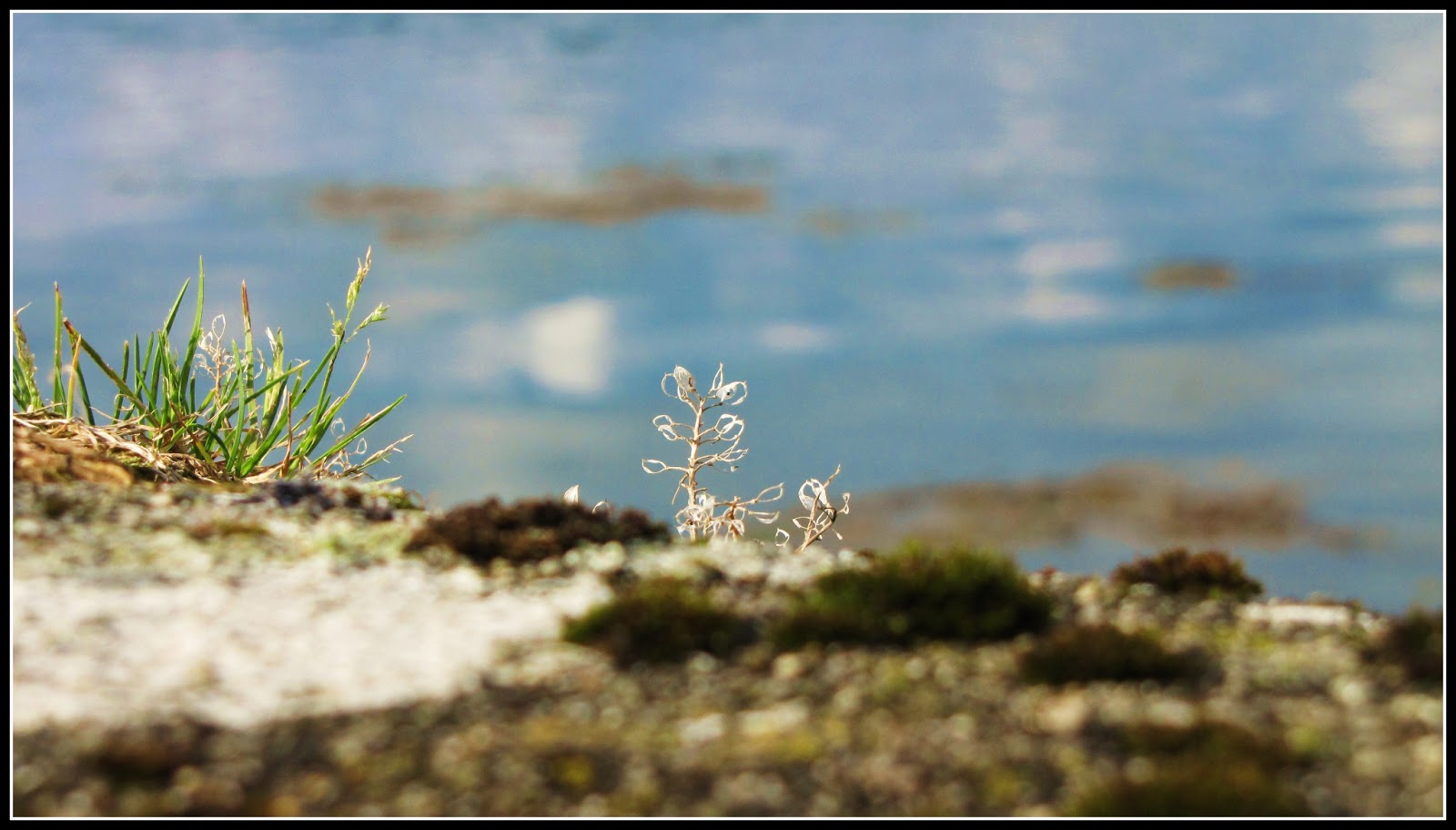 Picturing Ireland : Roundstone in Connemara
