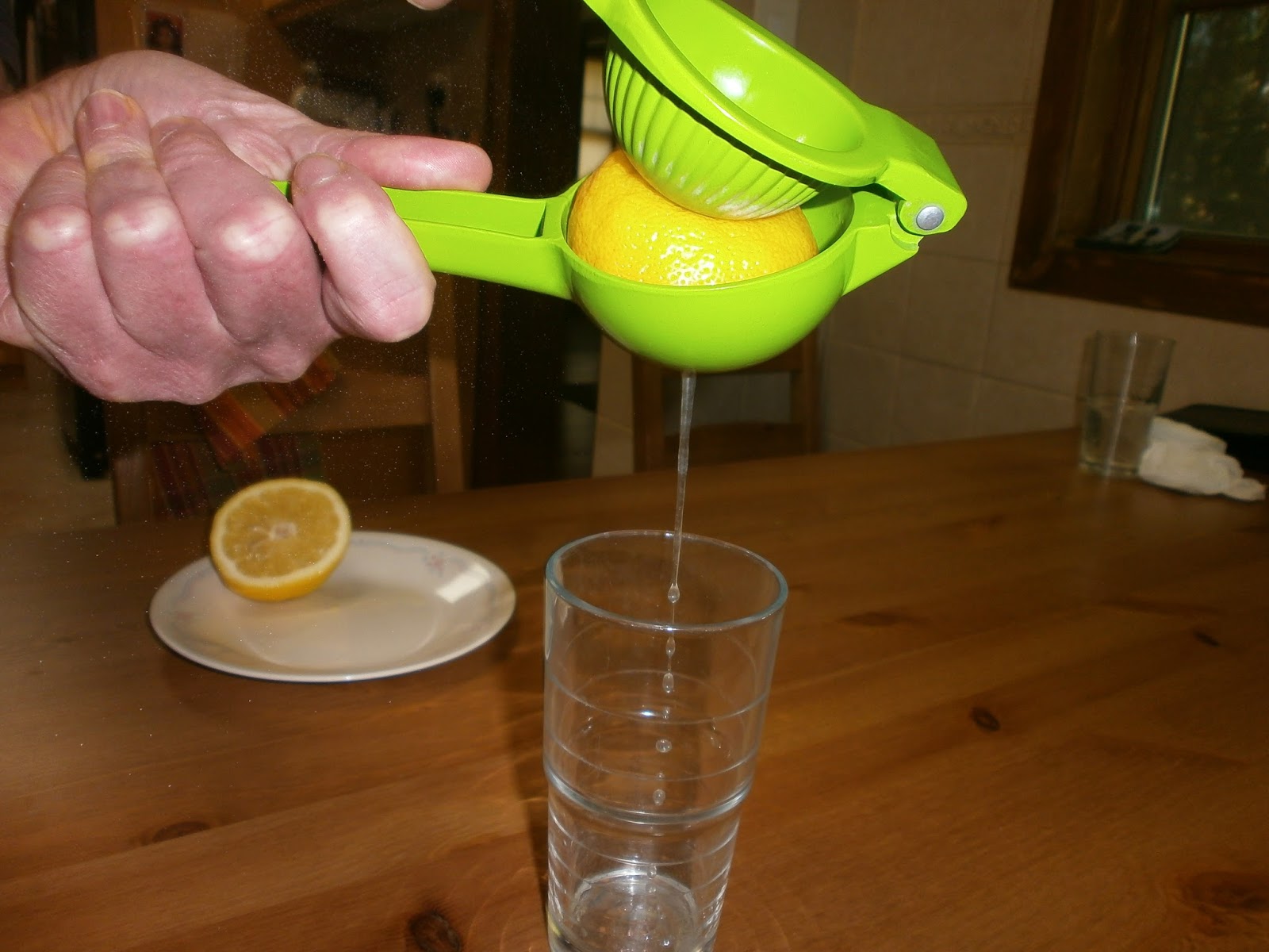 Primal Maya: How to make HEALTHY Lemonade (With Pictures) [SUGAR FREE]