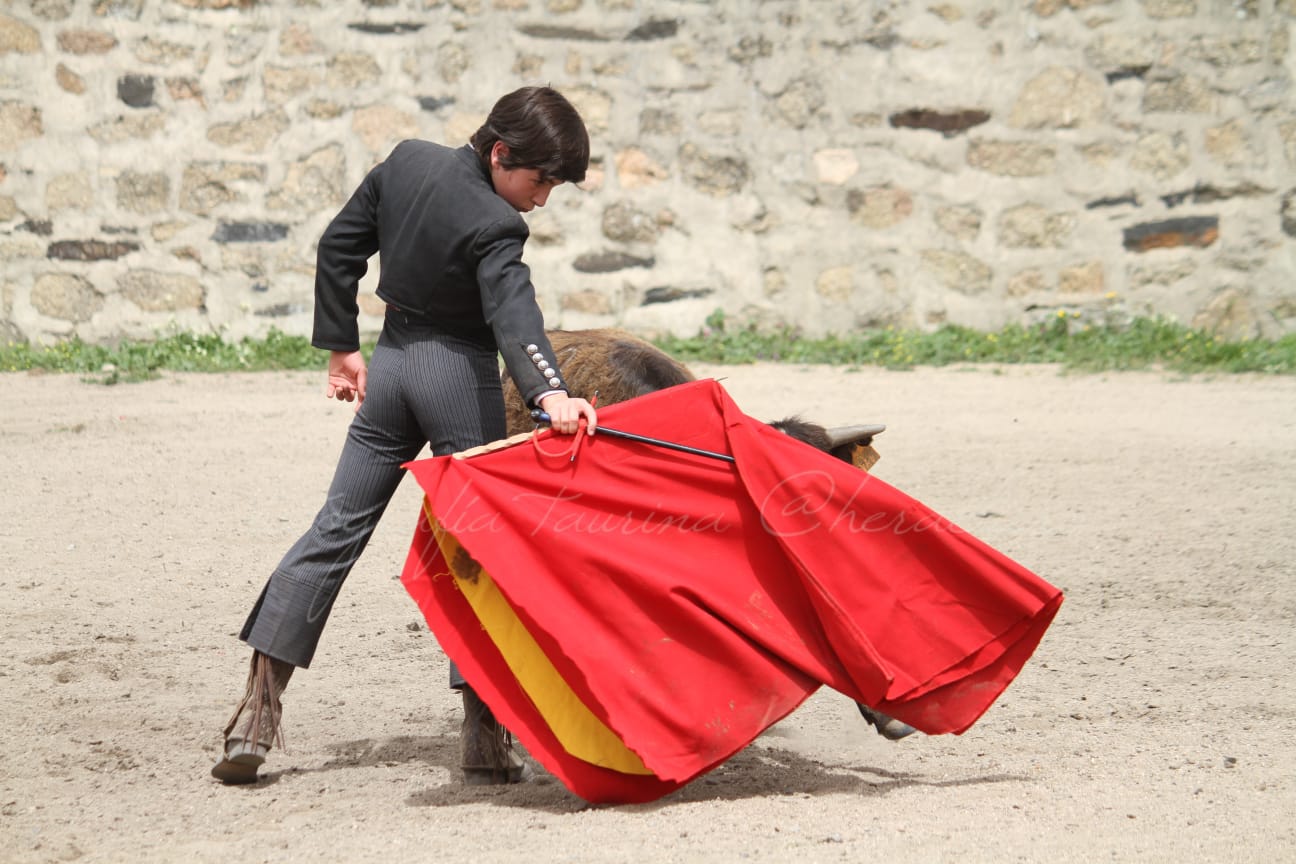 Escuela Cultural de Tauromaquia de Jaén: TENTADERO EN FLORES ALBARRÁN