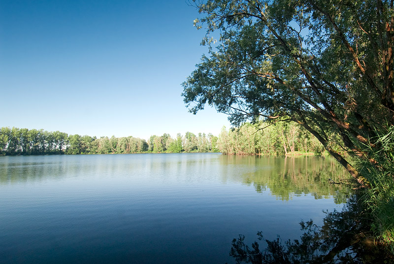 Laghetto di Basiglio: Il Laghetto di Basiglio