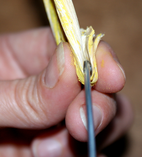 lightly enchanted: Corn Husk Sunflower Wreath