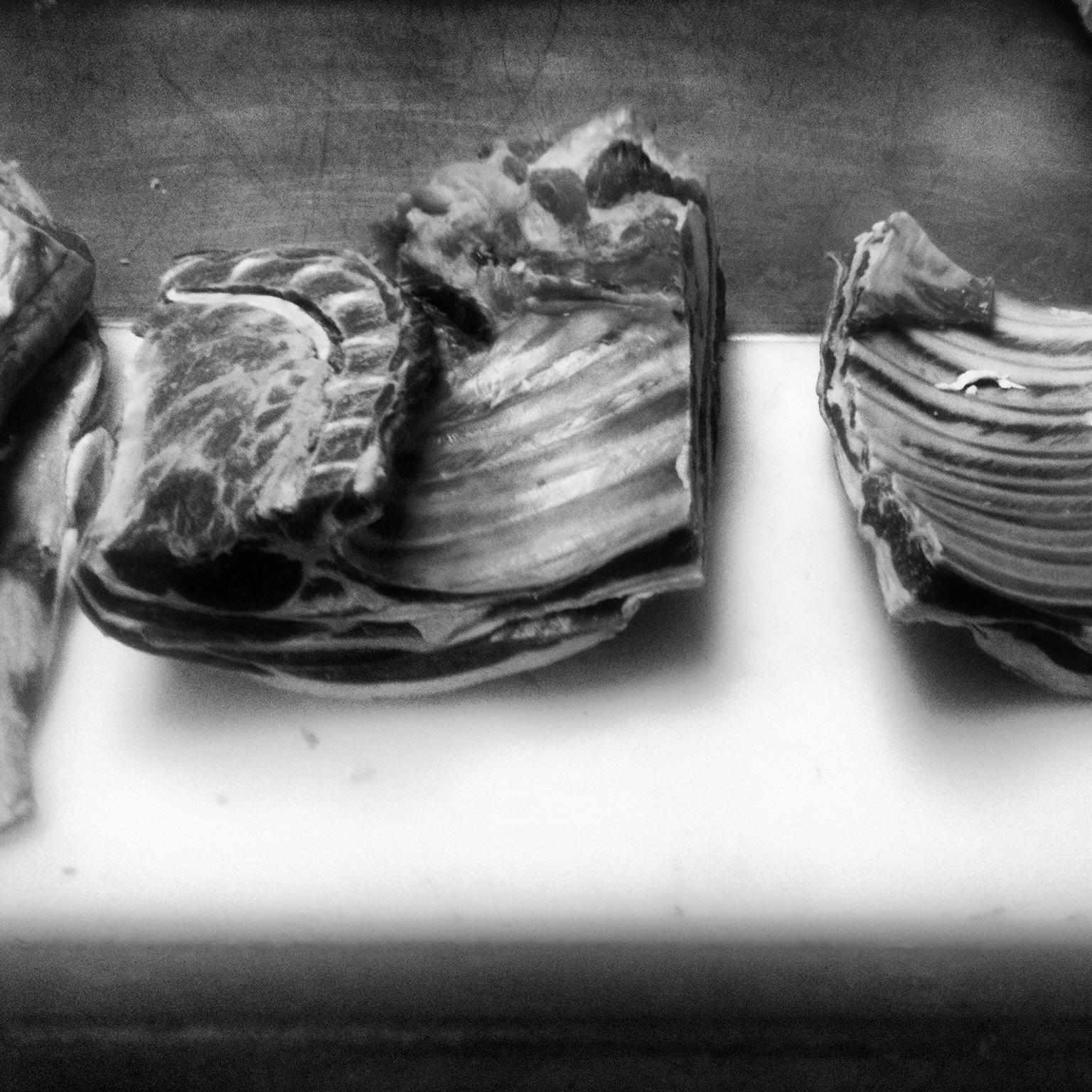 Austin Texas Butcher: Whole Mutton. The Breakdown.