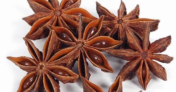 MANFAAT DAN KEGUNAAN BUNGA LAWANG (STAR ANISE) ~ Resep Makanan Kekinian