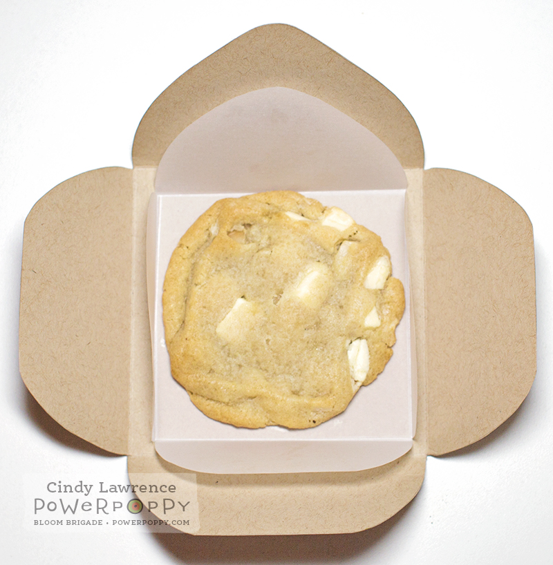 Power Poppy - The Blog: Day 8: Christmas Cookie Envelope
