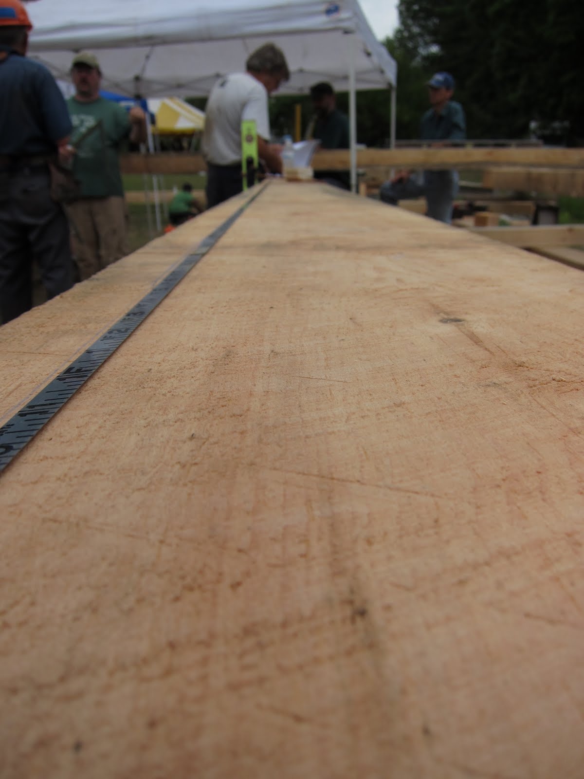 What Simon Does All Day: Learning Scribe Rule