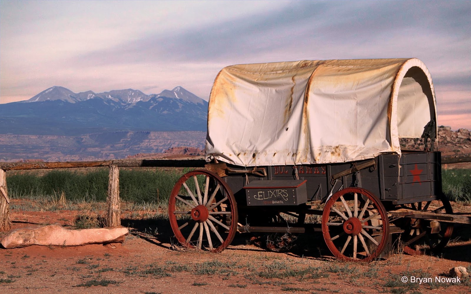 The Snake Oil Salesman