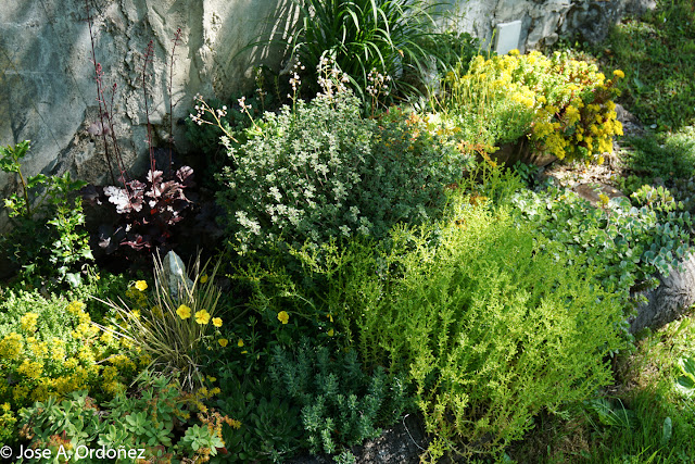 El Jardín de la Barrosa: La Barrosa en Mayo