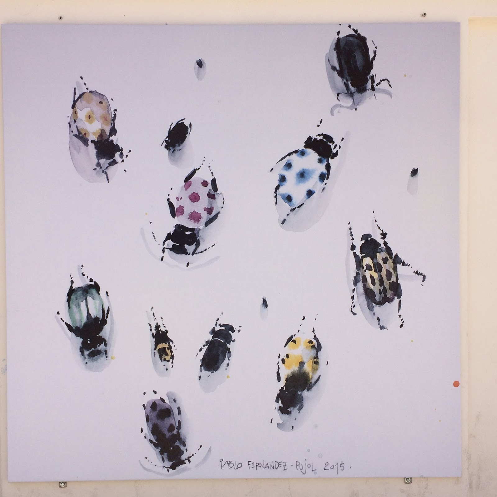 LA CIENCIA DE LA VIDA: Pinturas de insectos de Pablo Fernández-Pujol
