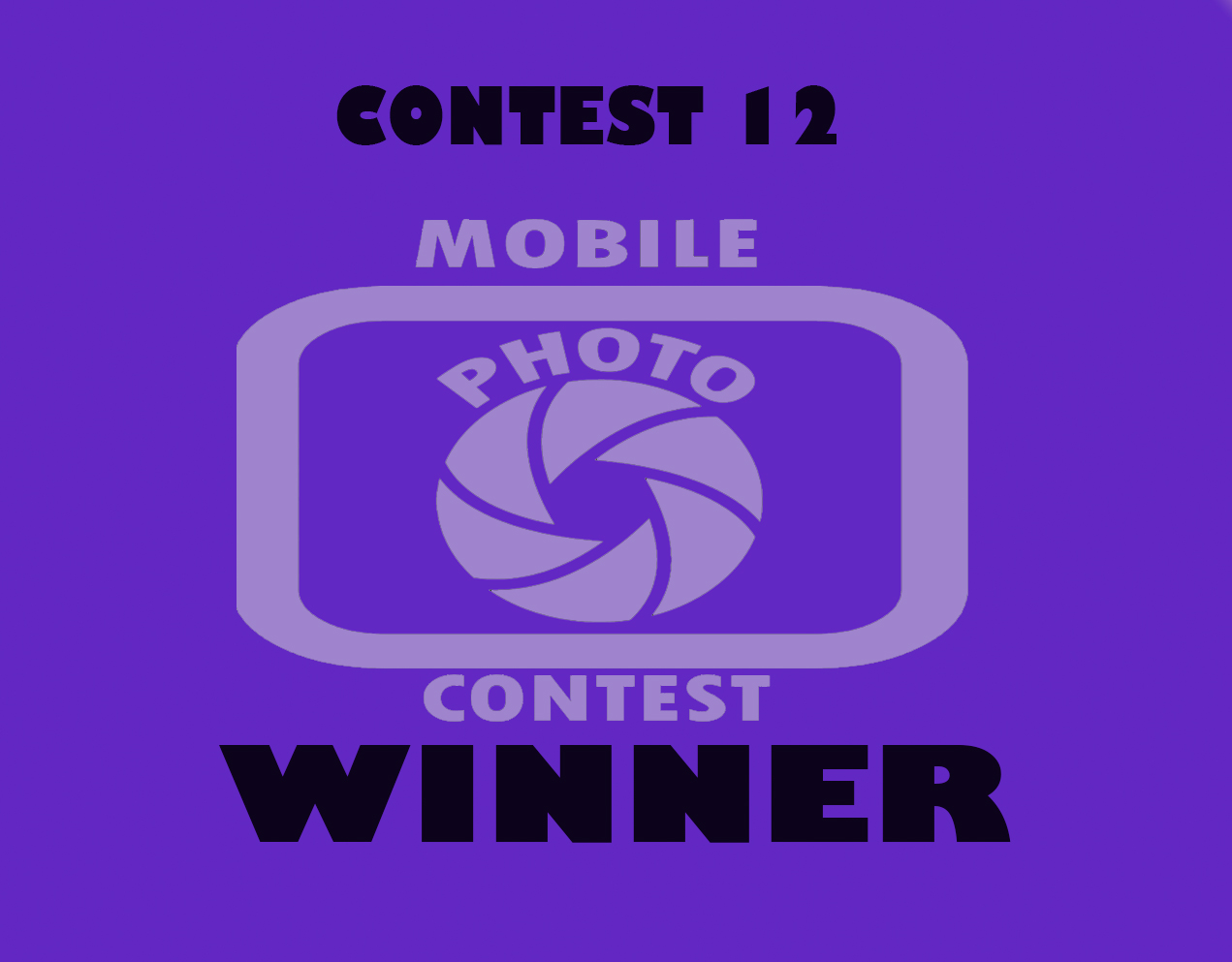 Mobile Photography Contest: CONTEST 12 WINNER