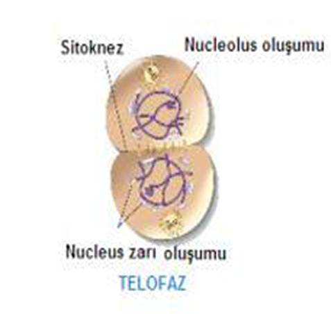 Gökçe' nin Sayfası: Özel Öğretim Yöntemleri(Konu Anlatımı)