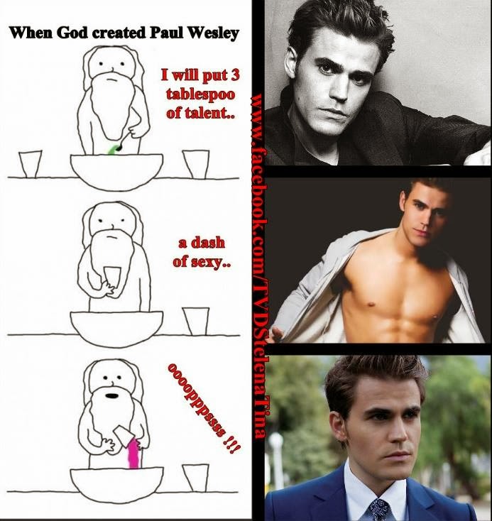 Stelena Lovers ♥: The Vampire Diaries Memes