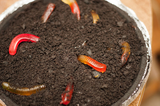 The Terrible House Wife: Earth Worm Pie