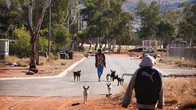 Vanguard: APY Lands People are sick of seagulls….