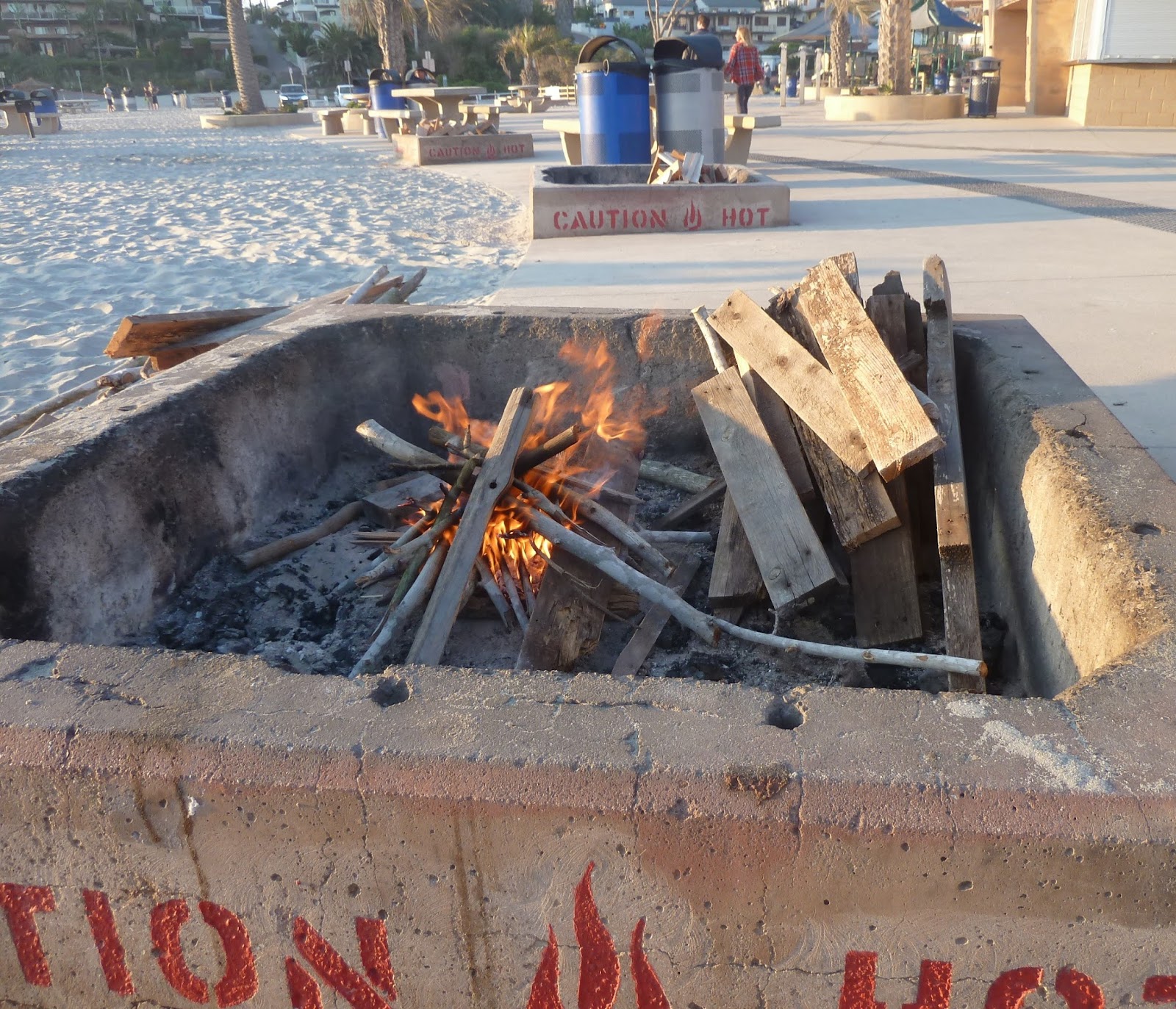Observations: Bonfire at Moonlight Beach