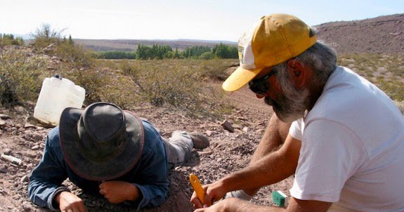 SURINAME MIRROR - Kwalitatief de beste!: Spaanse en Argentijnse ...