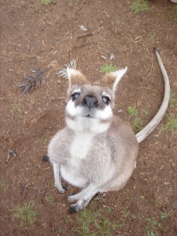 Beautiful World : Today's Collection of Amazing and Funny Pics