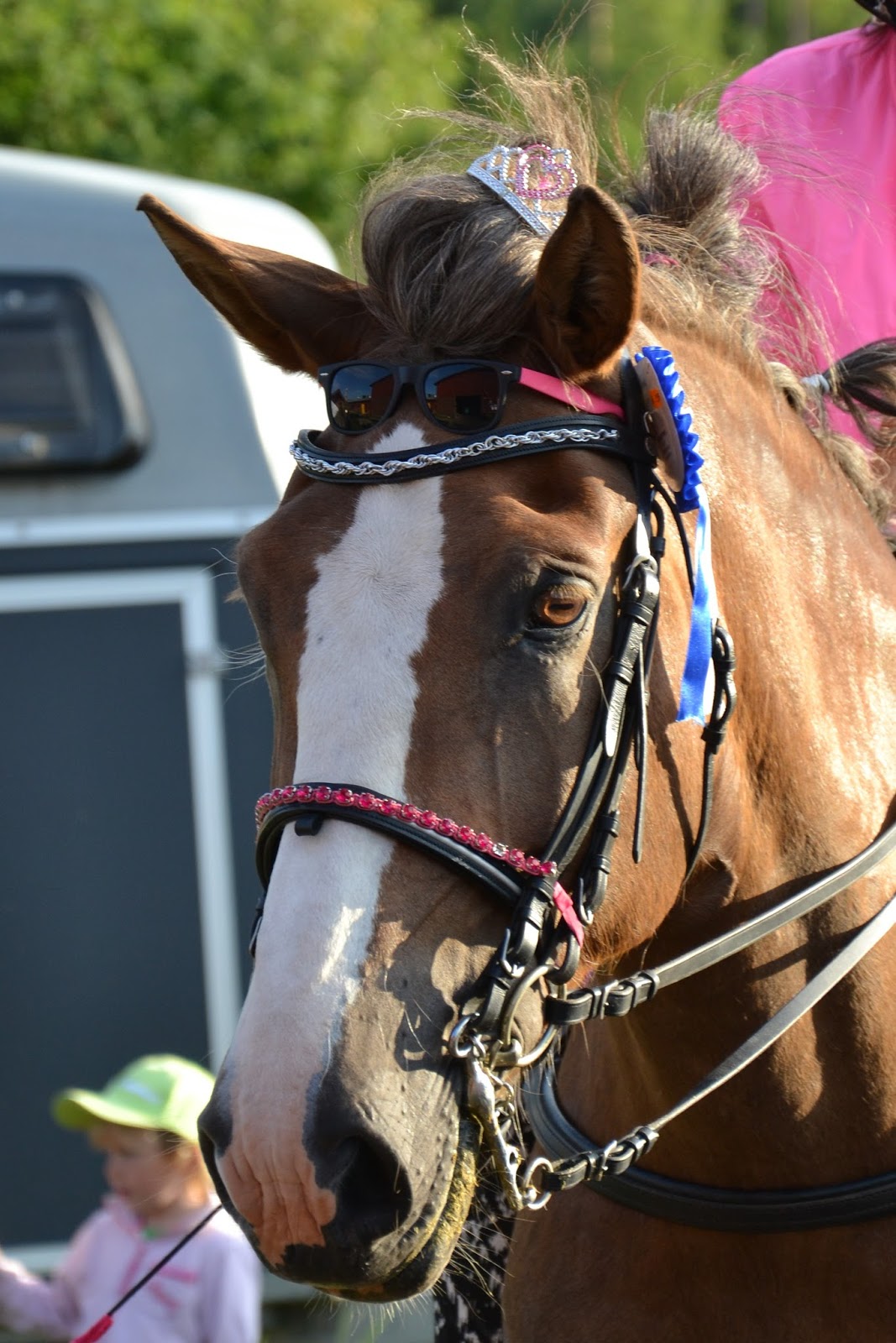 Luokki ja satula: Pissis ja Pimpula Pampula (Video)