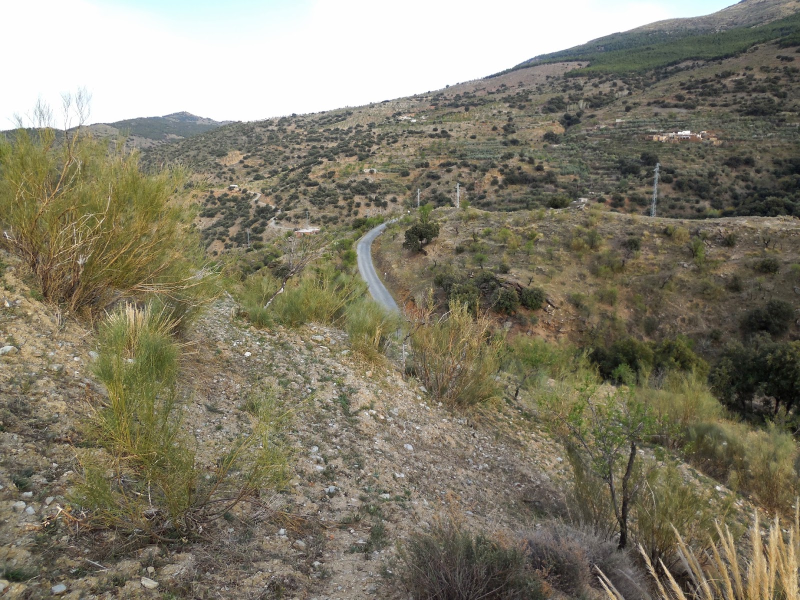 BIÓLOGO Y BECARIO: El ala este