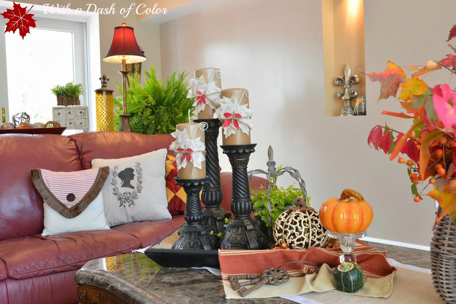 With a Dash of Color: Vignettes