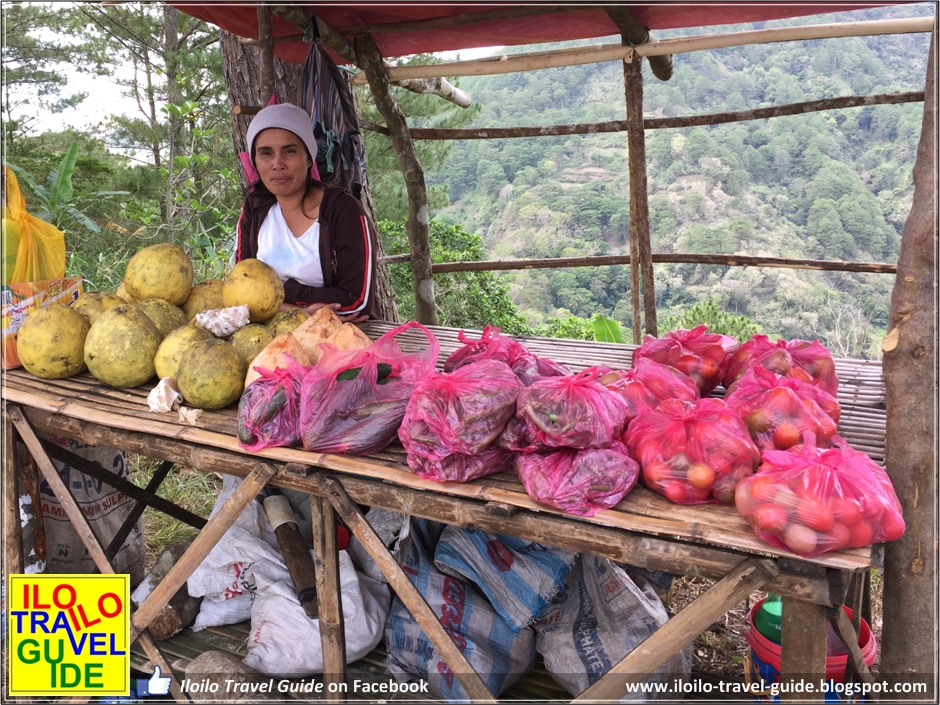 Bucari, Leon: Iloilo's "Little Baguio" and Summer Capital