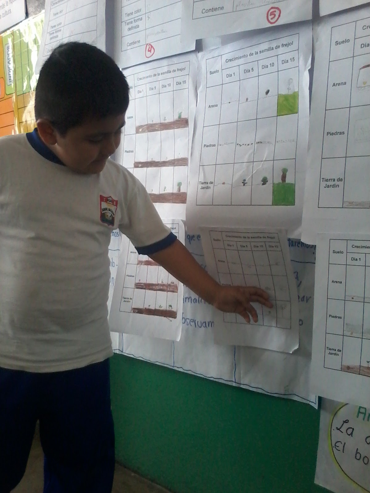 Esperimentar en ciencia y ambiente: octubre 2015