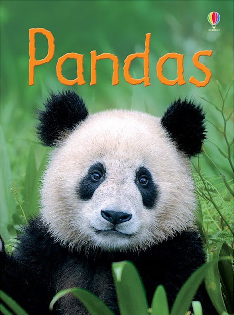 Abundant Family Living: Learn All About Pandas – Book, Activities, and ...