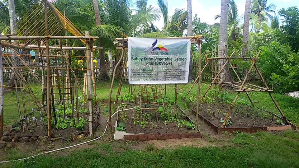 Philippine Vegetable Garden