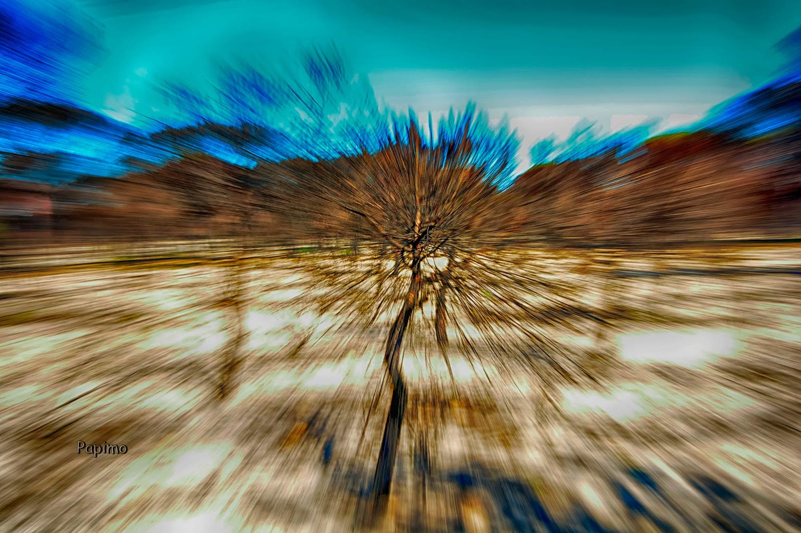 Asociación fotográfica de Isla Cristina: La técnica del Zooming