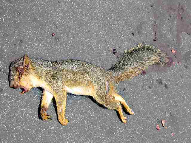 What Is It Like To Be Dead? | Mixed Meters