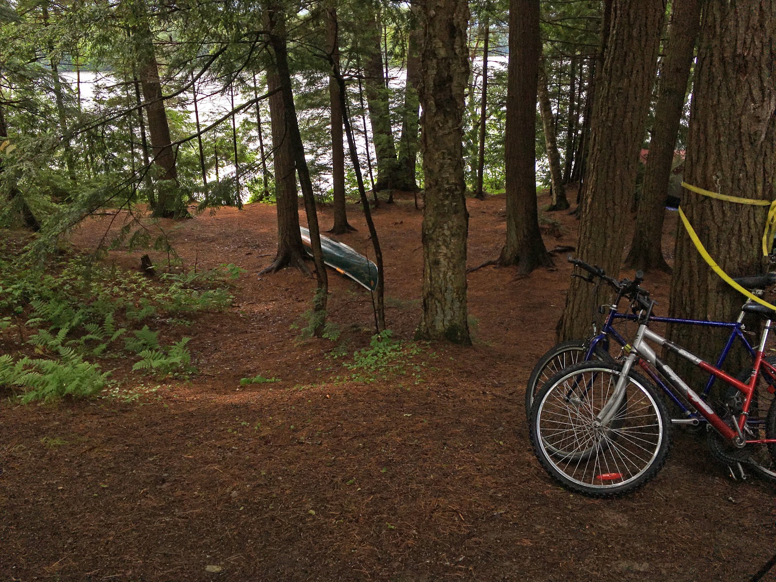 The Campsites: Rollins Pond NY DEC Campground, site 121