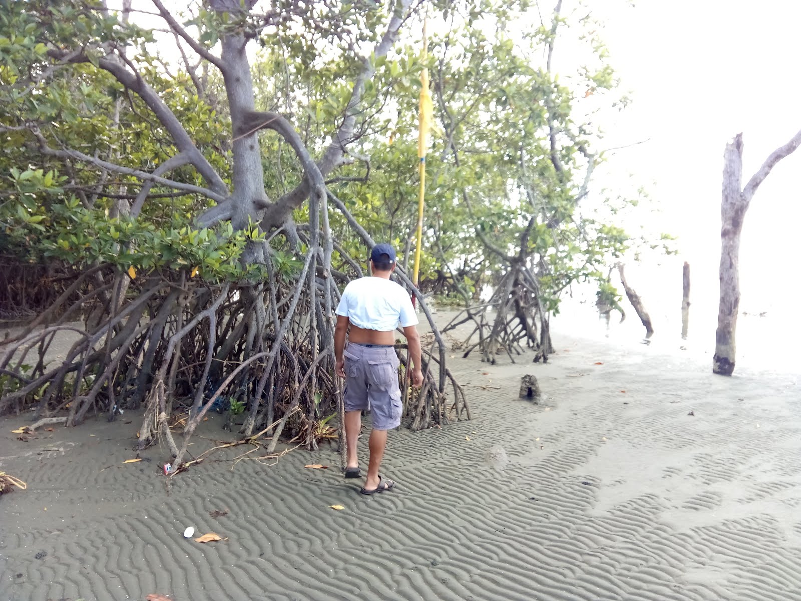 Consuelo, Macabebe, Pampanga