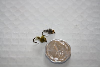 Aguas Claras Flyfishing: Pejerrey Chileno (Basilichthys australis) - La ...
