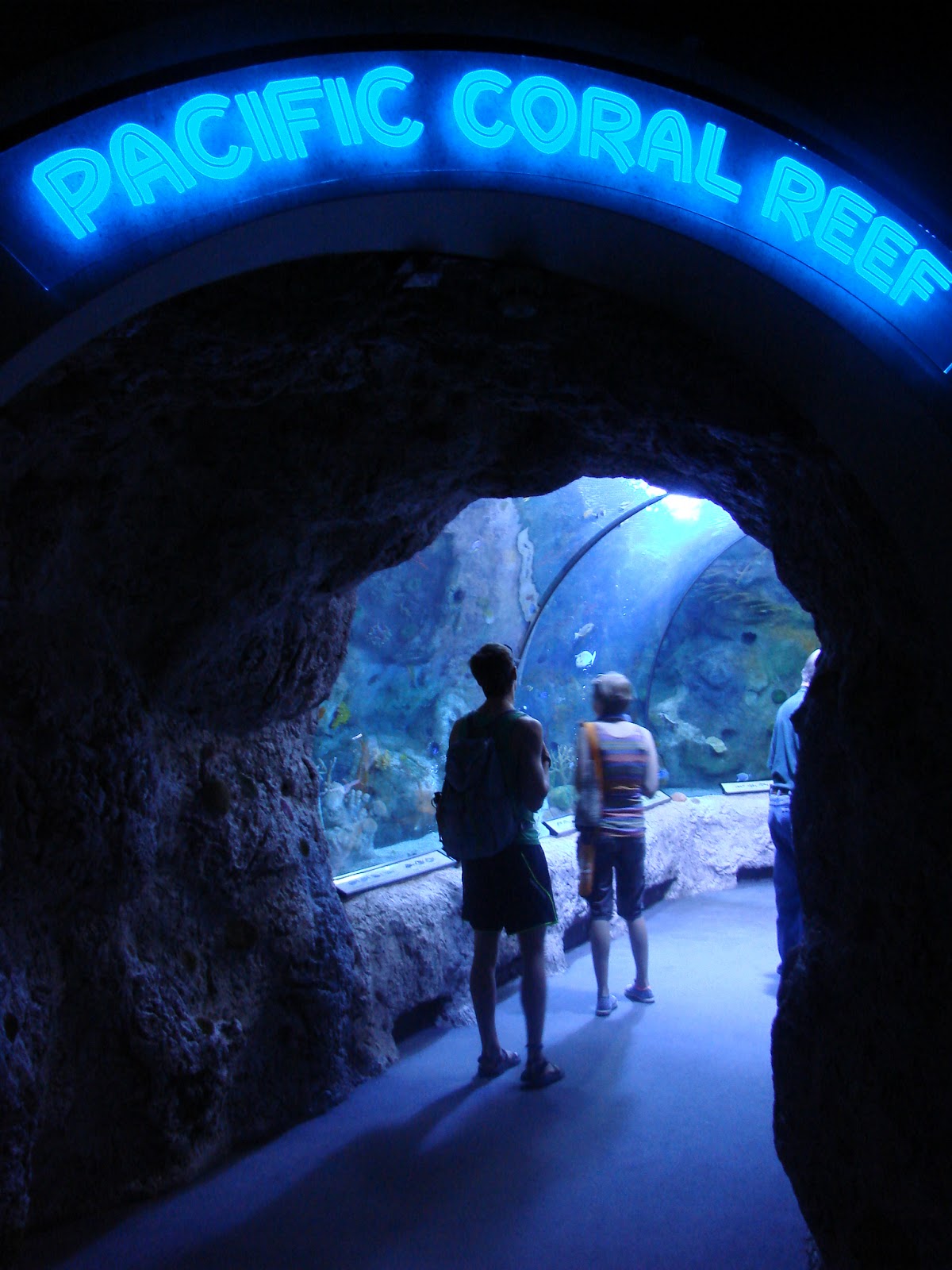 SMCM Museum Studies - US Southwest - 2013: Albuquerque Aquarium