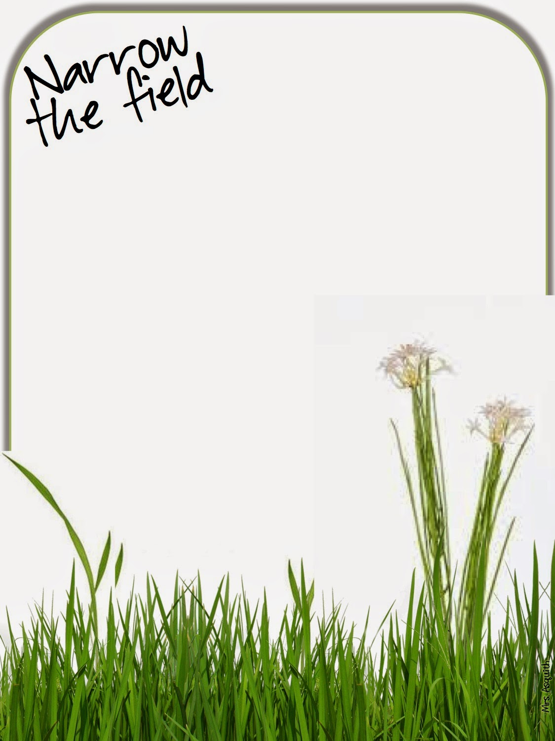 tHEART of Teaching: Gearing up for serious writing!