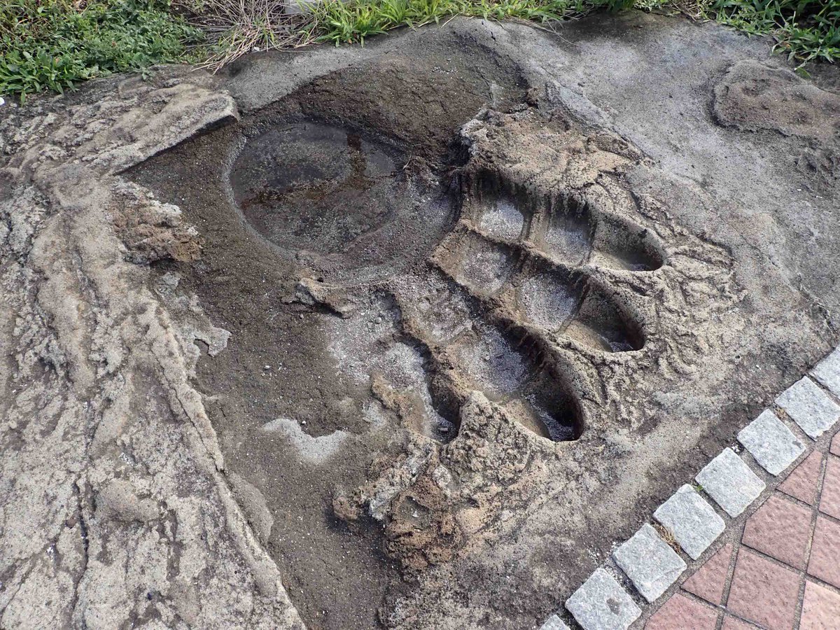 Discover Yokosuka 横須賀奥旨: February 2017