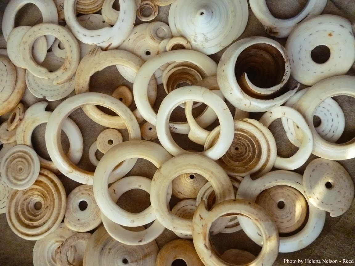 Lumi Money Conus Shell Currency Strung Money Trade Papua New Guinea ...