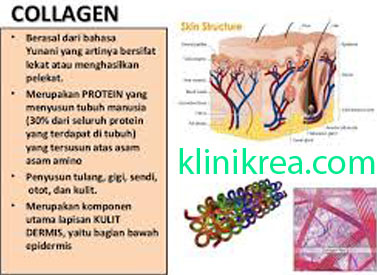Manfaat Dan Jenis-Jenis Kolagen - Klinik Rea