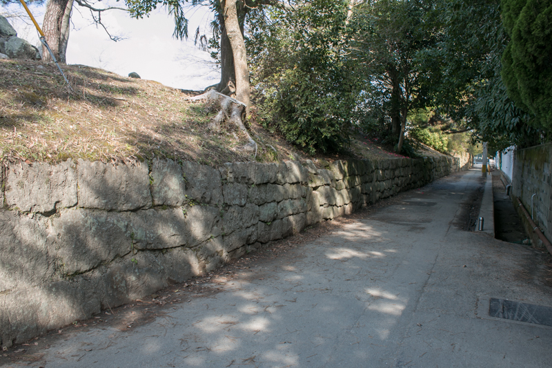 Yanagawa Castle -Revival of general of braveness and honesty- | Ken's ...