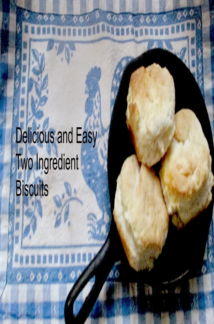 Vickie's Kitchen and Garden: Delicious and Easy Two Ingredient Biscuits