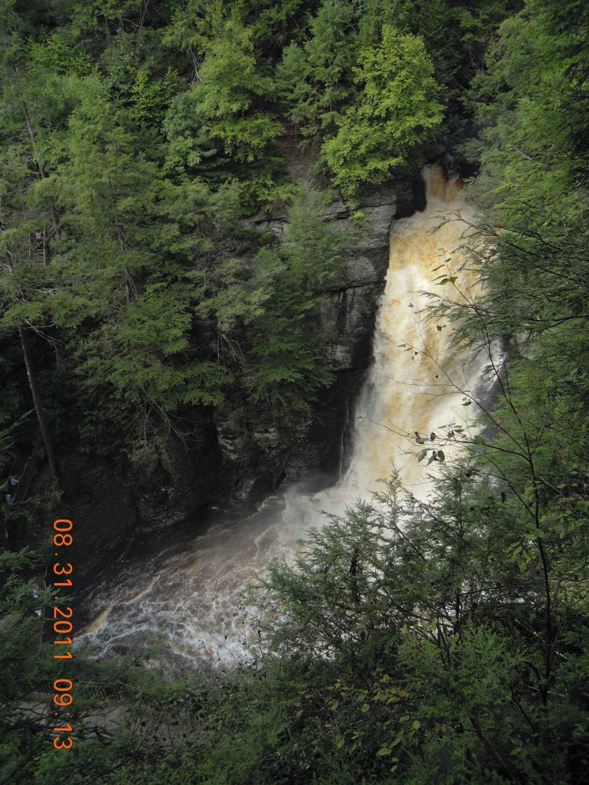 武@new york: Bushkill Falls, PA