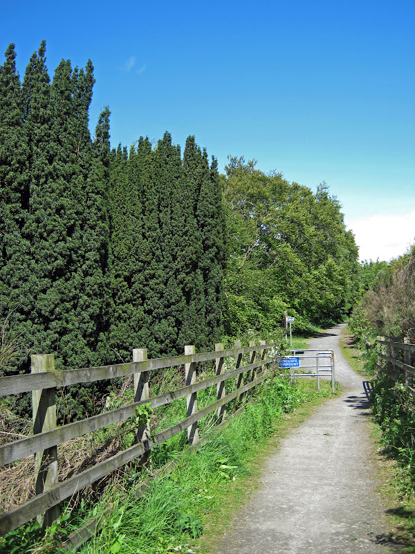 Walking The Line: Parkhill Station and Gavin Greig