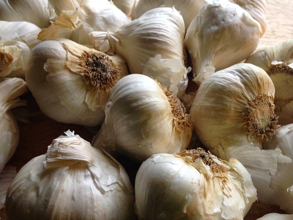 Rockin' the Kitchen: Roundup of Recipe-free Cooking