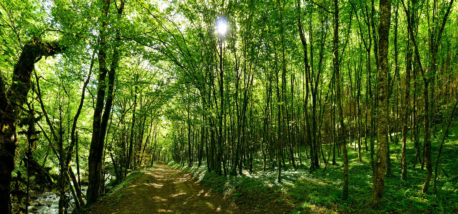 DROMESCAPE - Randonnées en Drôme et Escapades photographiques: Autour ...