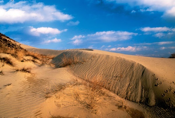 Karapinar Desert ~ Call of Turkey